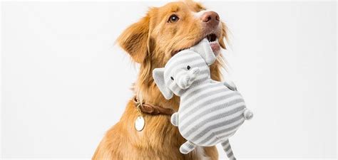 Mqtt And Kafka How To Combine Two Complementary By Techletters Python Point Medium