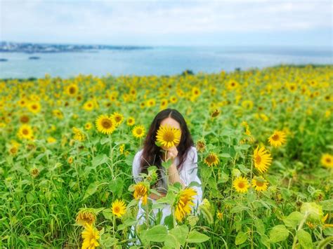 스마트폰으로 사진 잘 찍는 법 특강제주 서울 네이버 블로그