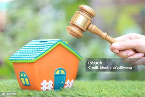 부동산 경매 자연 녹색 배경에 망치 나무와 모델 하우스를 들고 여자 손 가정 부동산 및 소유권의 변호사 속성 개념 개념에 대한 스톡 사진 및 기타 이미지 Istock