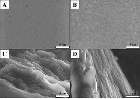Scanning Electron Micrographs A Chitosan Cs Membrane Surface B Download Scientific