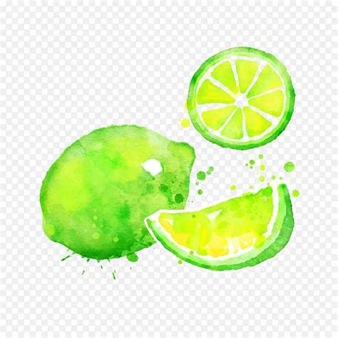 水彩柠檬西柚设计素材PNG图片素材下载 图片编号qjwedrmy 免抠素材网