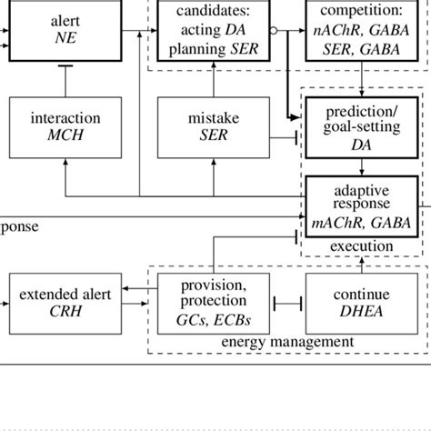 The Brains R Process Arrows Excitation T Junctions Suppression