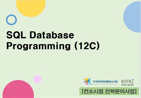 실시간 라이브 원격 Sql Database Programming 19c