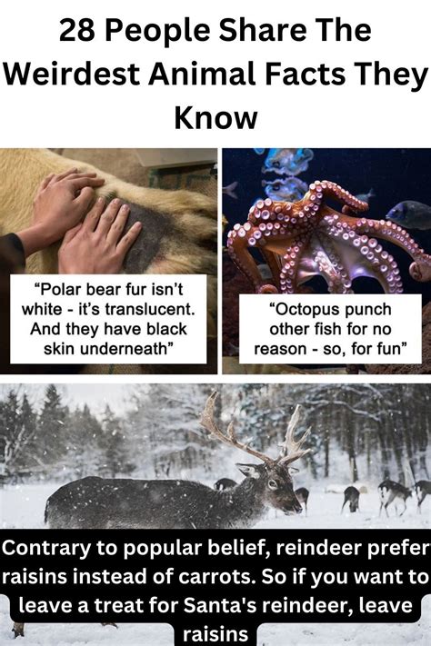 28 People Share The Weirdest Animal Facts They Know Artofit