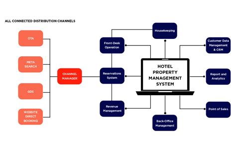 Everything You Need To Know About The Introduction Of The Best Options