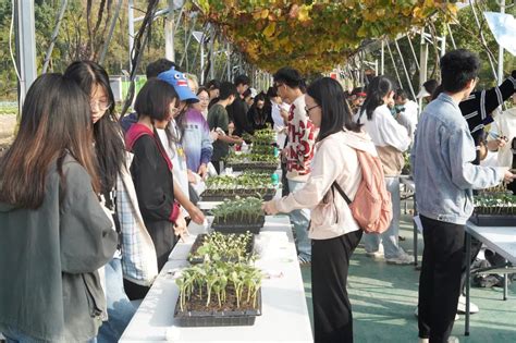 校第二届园艺蔬菜嫁接技能大赛开赛 浙江农林大学园艺科学学院