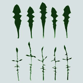 Mating System And Adaptive Potential For Leaf Morphology