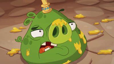 Watch Angry Birds Toons Season 1 Episode 23 Stalker Online Now