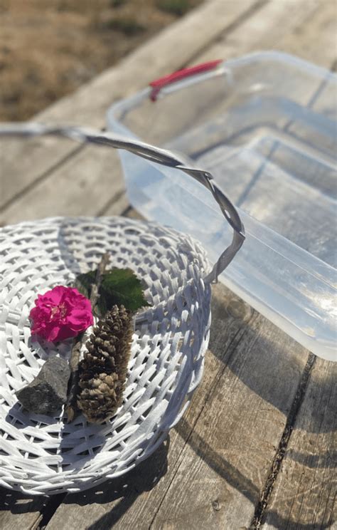 Sink Or Float Experiment 💧🛠 Unlock The Secrets Of Density And Buoyancy