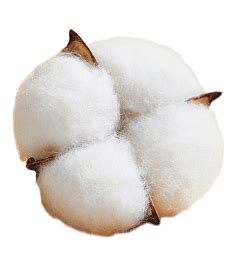 棉 花瓣网 陪你做生活的设计师 两用擦脸巾抽取式6包 tmall com天猫
