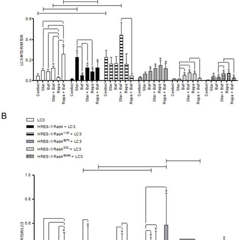 Quantitative Analysis Of Colocalization Between Lc3 Autophagosomes Download Scientific