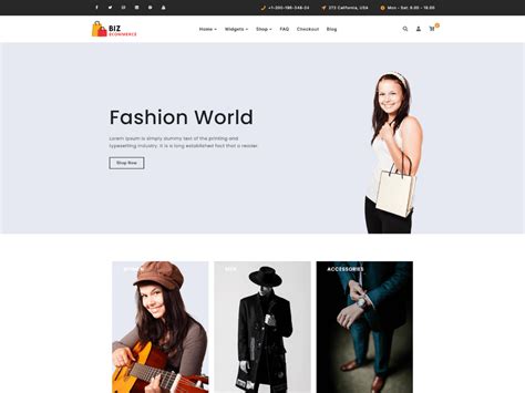 Biz Ecommerce Demo Wordpress Theme