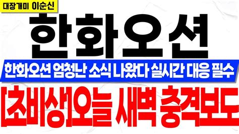한화오션 긴급뉴스 와 이런 게 있었네요 이거 알면 한화 오션 대응 가능합니다 Youtube