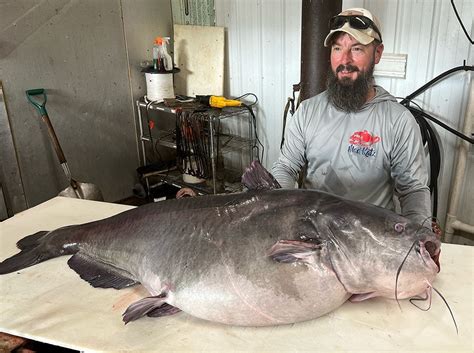 New State Record For Blue Tennessee River Valley News