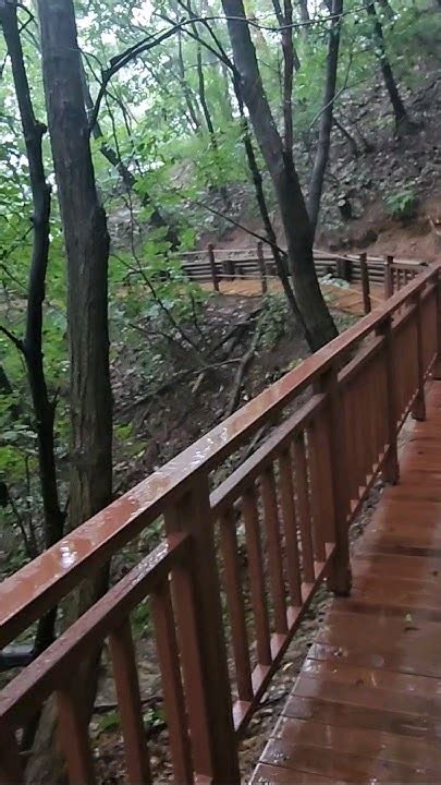 비를 좋아하는 사람~♡산길걷기여름비산책 걷기운동 Youtube