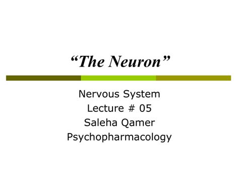 The Neuron Structure Function And Action Potential