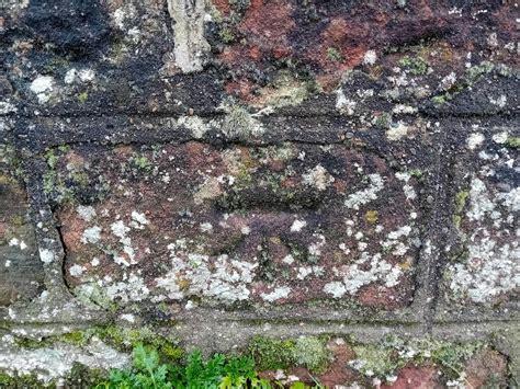 OS Benchmark David Bremner Geograph Britain And Ireland