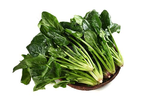 菠菜高清图片下载 正版图片501137504 摄图网
