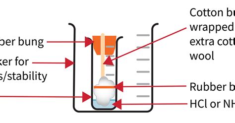 Ammonia Gas Test
