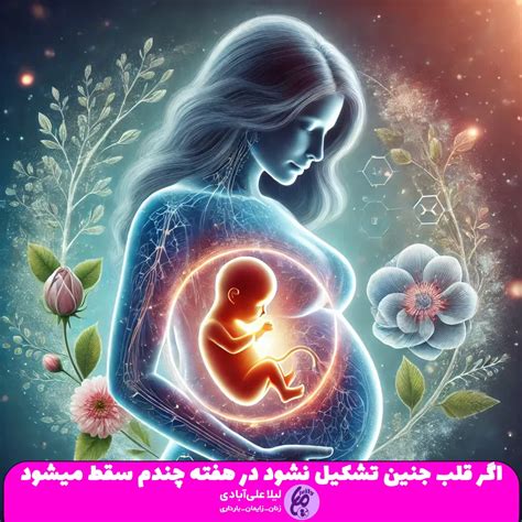 قلب جنین پسردرچندهفتگی تشکیل میشودقلب جنین کی تشکیل میشه