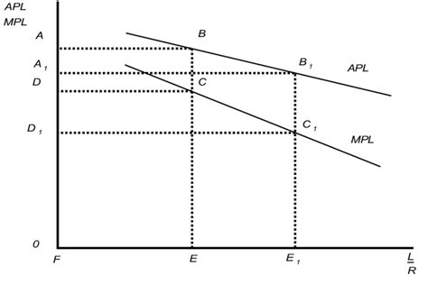 Average Apl And Marginal Labour Productivity Mpl As Function Of