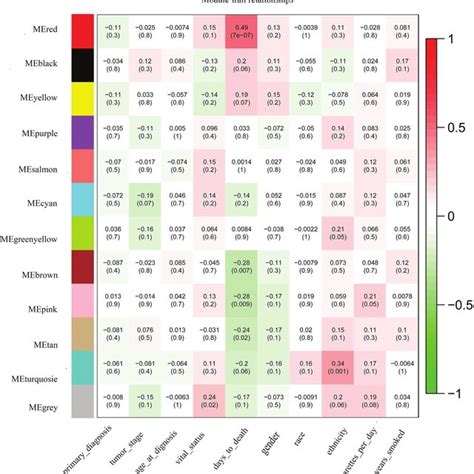 Heatmap And Expression Level Of Me In The Pink And Red Module The