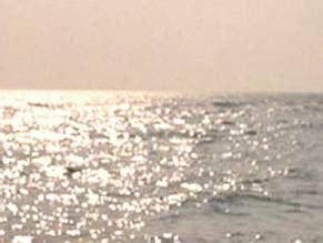 Francie Swift Nude Aznude