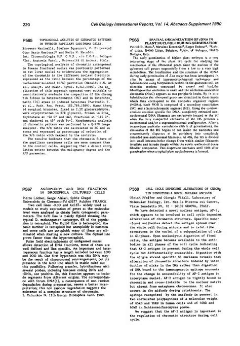Pdf Topological Analysis Of Chromatin Patterns In Thyroid Papillary Carcinoma Cells Dokumen Tips