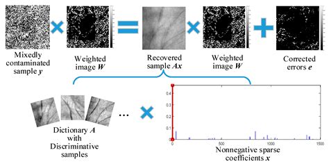 Sensors Free Full Text Correntropy Induced Discriminative Nonnegative Sparse Coding For