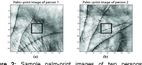 figure 2 from a dct based local feature extraction algorithm for palm