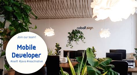 Flutter Developer Cobalt Sign