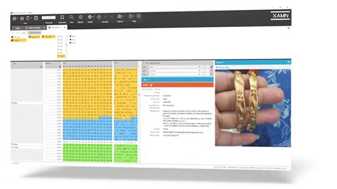 Xamn Elements Data And File Carving Forensics Tool Msab