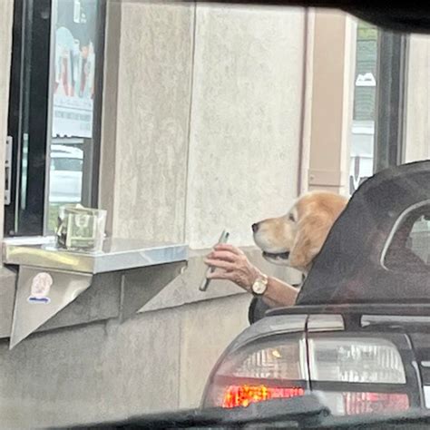 worship me human i am your savior r confusing perspective
