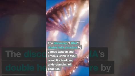 The Double Helix The Discovery Of DNA Go IT