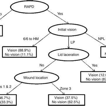 The Classification And Regression Tree CART Model For Open Globe