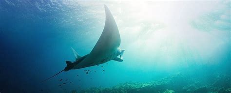 Algorithms And Data Structures Interview Preparation And Walkthrough