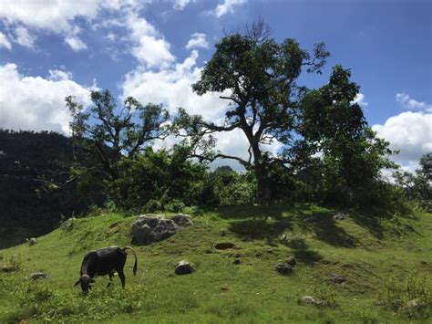 Enjoy A Scenic View While Hiking In Mt Kan Irag Cebu City Cebu Daily News