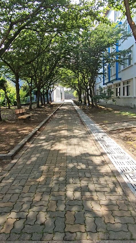 Sidewalk Object Detection Dataset By Happy