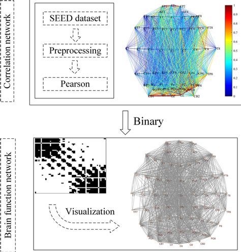 Construction Process Of Brain Function Network Download Scientific