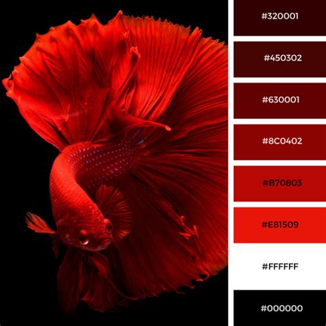 Black And Red Color Palette Bold Elegance • Kbm D3signs