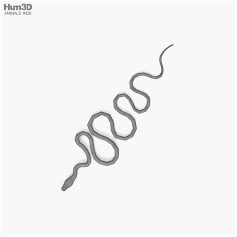 Boa Constrictor 3d Model Download Reptile On