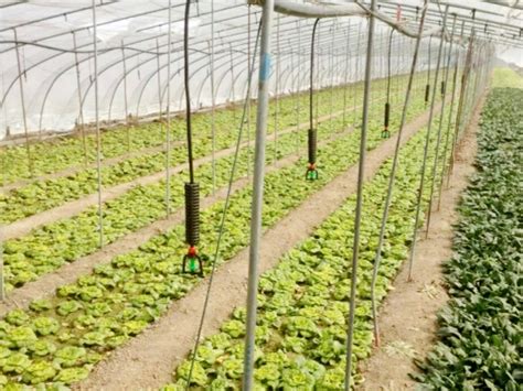 莱芜市福田塑业有限公司 地插微喷 吊挂微喷 pe管 内镶式滴灌管 微喷管件
