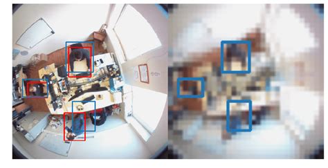 Dataset Examples Showing The Annotations Red And Detections Blue Download Scientific