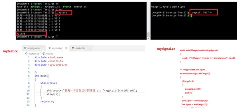 【linux】进程信号 除以0和野指针会发送什么信号 csdn博客