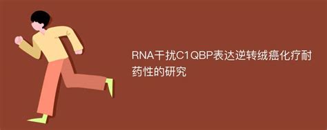 qbp 第12页 大山谷图库