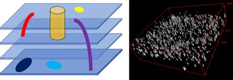 An Example Of Multi Dimensional Image Analysis Advanced D Cell Counting