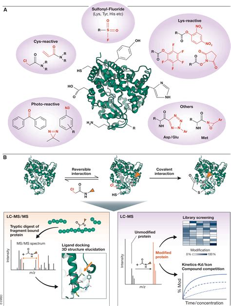 Advances In High‐throughput Mass Spectrometry In Drug Discovery Embo