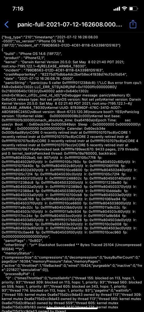 What Does This Panic Log Means R Applehelp