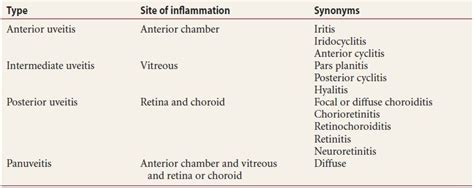 6 Grading And Classification Of Uveitis Ento Key