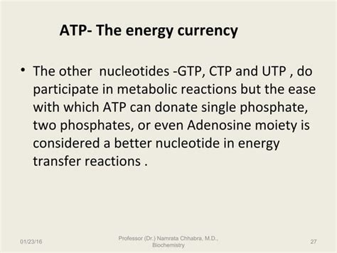 Atp The Universal Energy Currency Of Cell